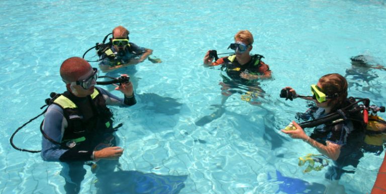 Familiarize Your Kids with the Underwater World by Enrolling Them in ...